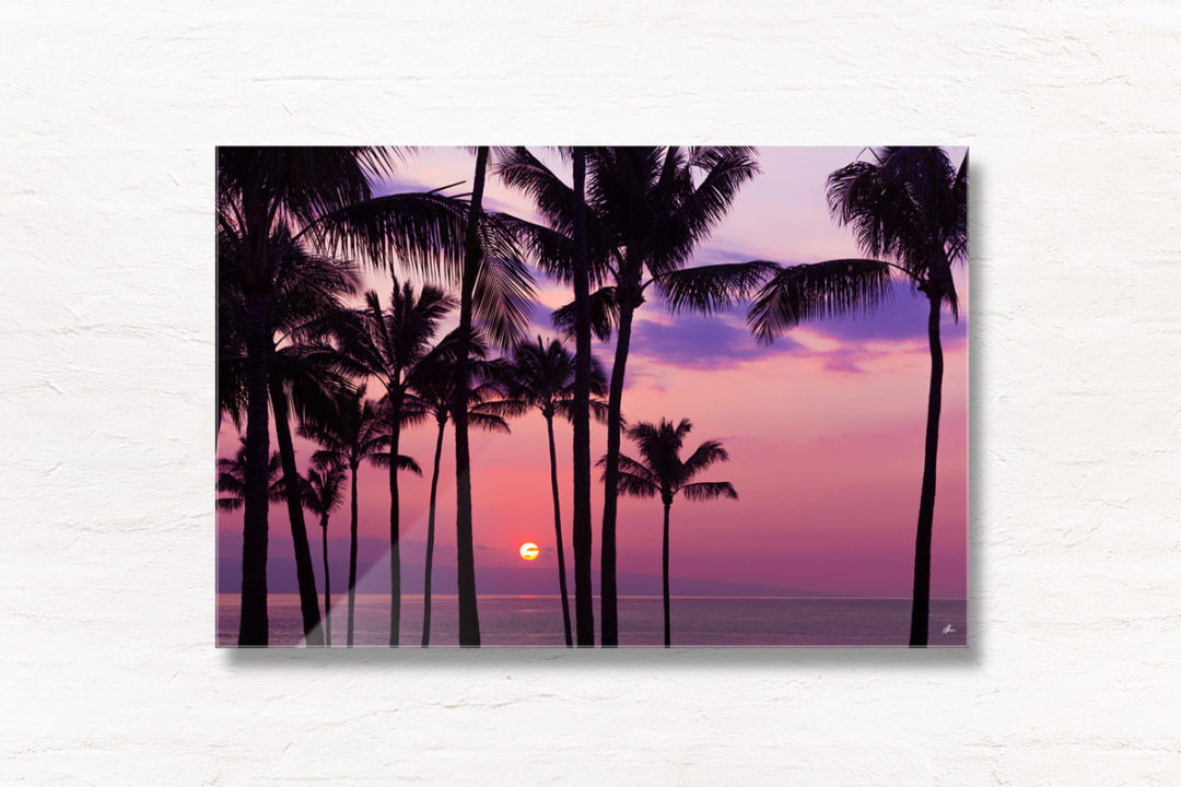 Hawaiian Palm Tree Sunset | Fireball - Gotthewanderingeye