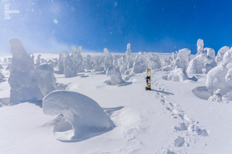 Mount Zao Trek | Yamagata Zao Onsen Snow Monsters Photos